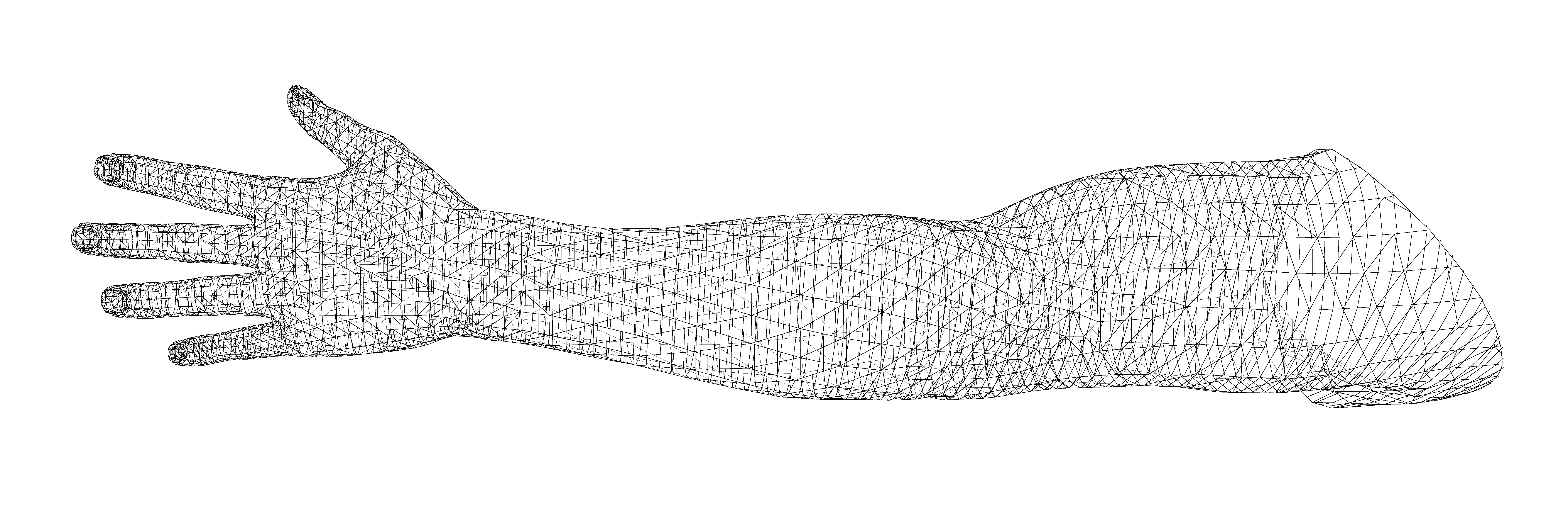 Arm Wireframe – Ryan Salomon